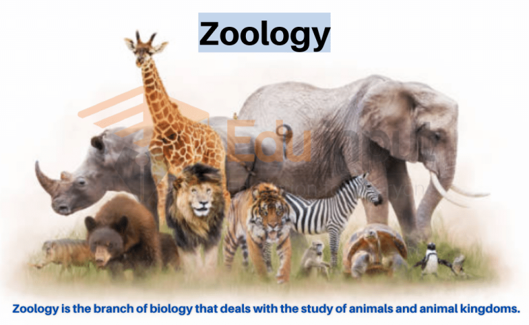 E-Resource Zoology – MPGCAMB